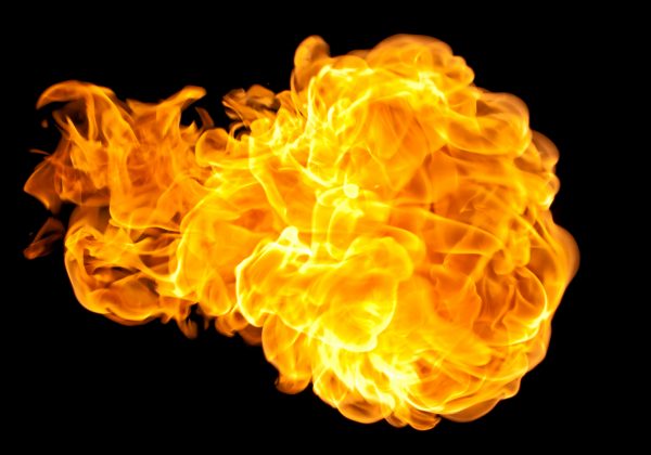 fireball virus warning